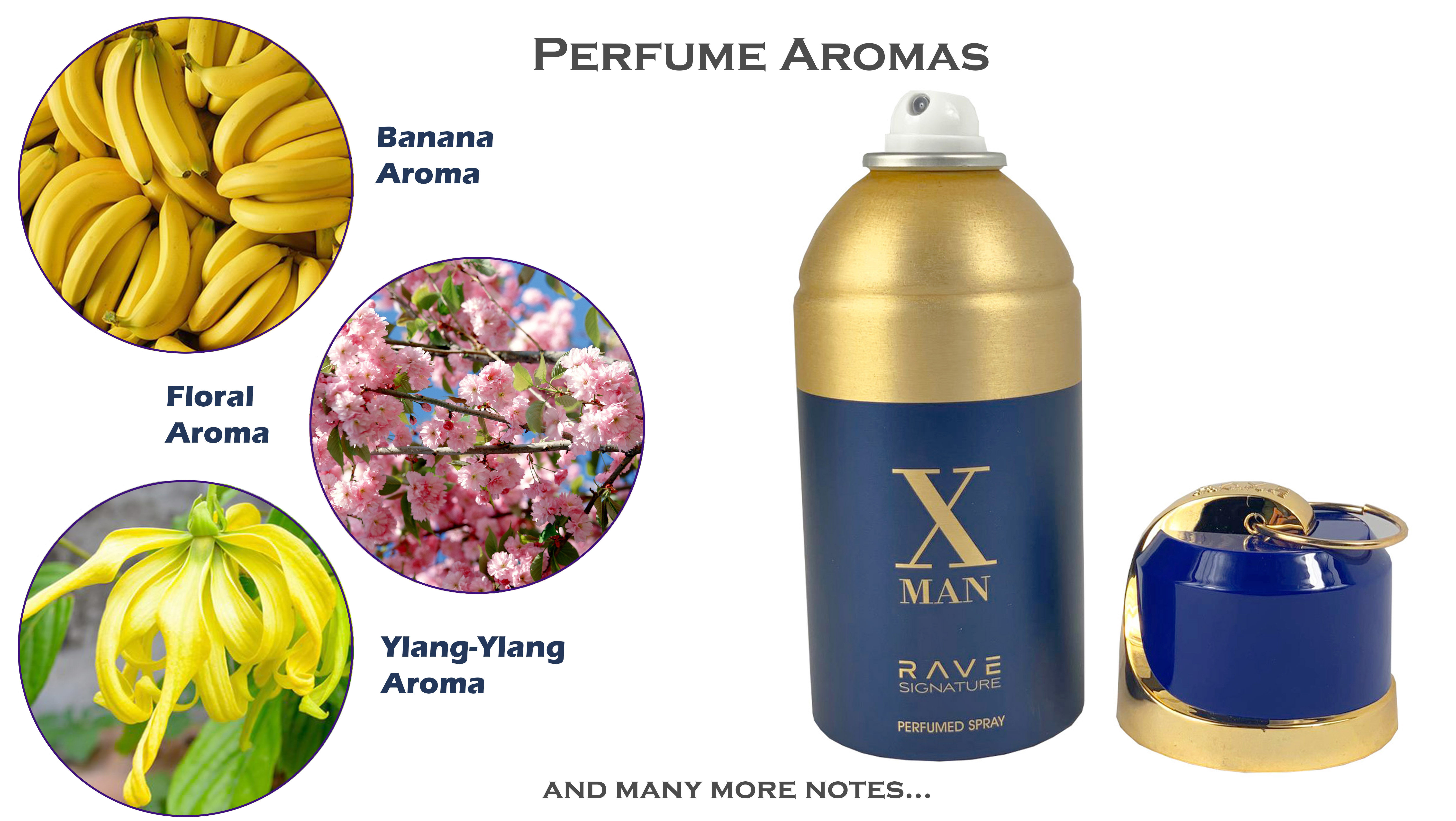 Xman 250ml Body Spray Exotic Fragrance - E&A Distribution